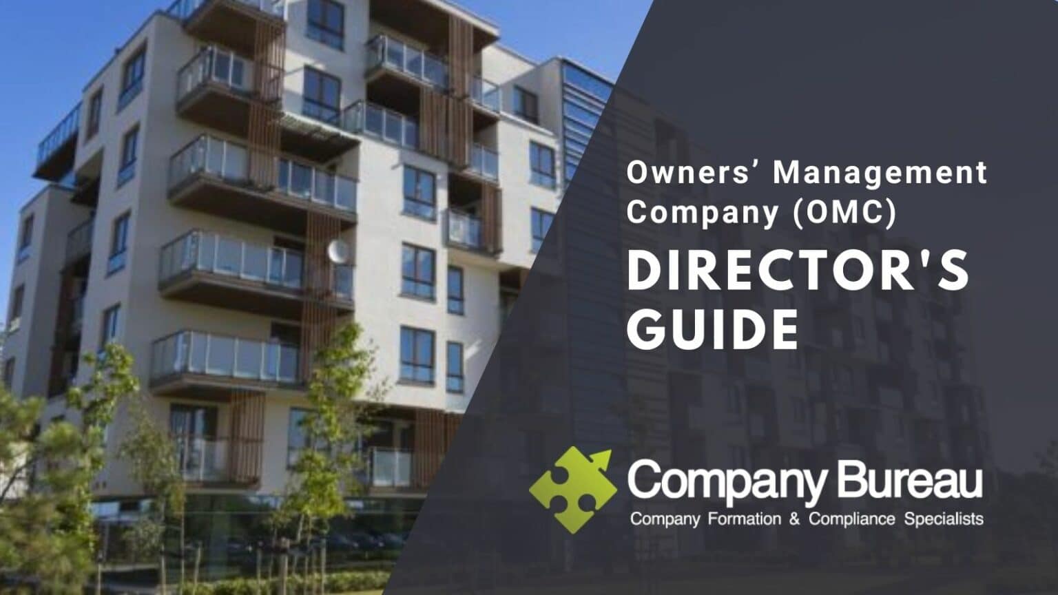 A Director's Guide for Owners’ Management Companies | Irish OMC