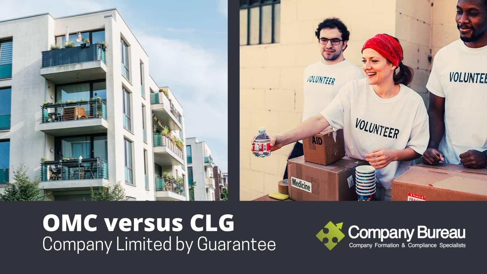 When to Use a CLG versus OMC | Company Limited by Guarantee