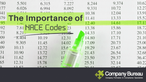 Why NACE Codes are so Important | Industry Classification System