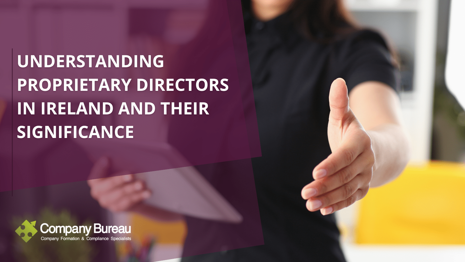 What is a Proprietary Director in Ireland and what is their significance?