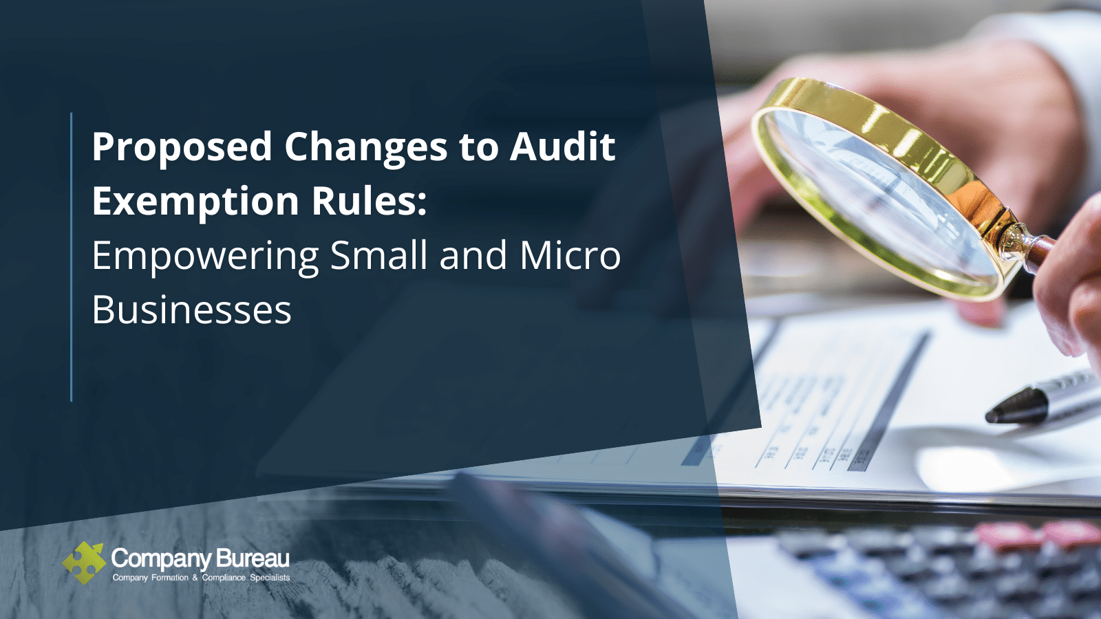 New Proposed Changes to the Audit Exemption Rules | Ireland