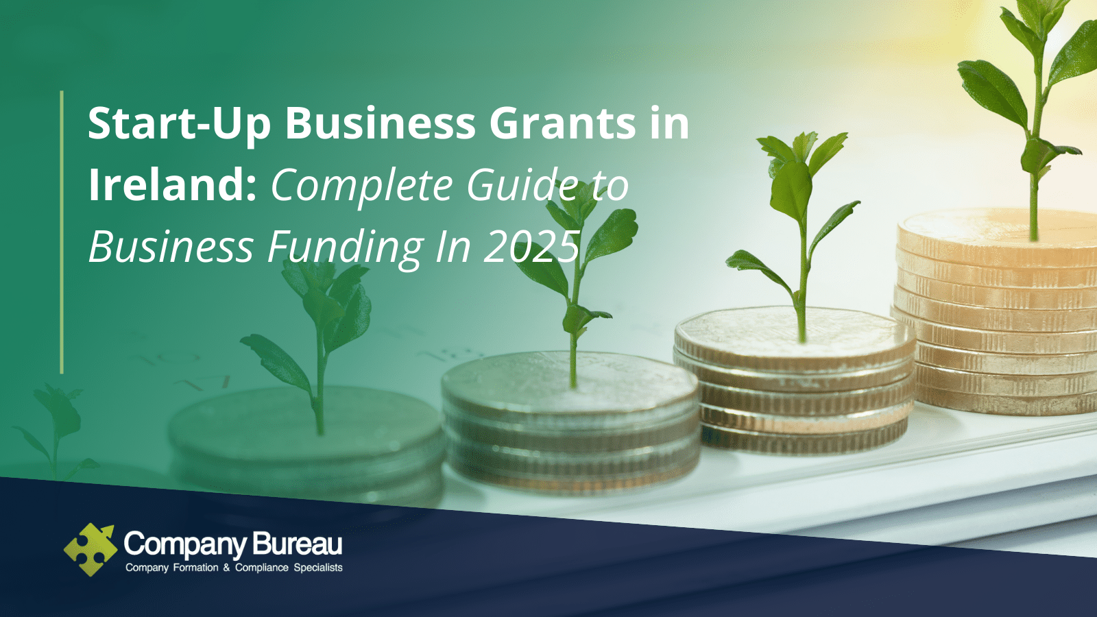 Start-Up Business Grants in Ireland | Complete Guide to Funding
